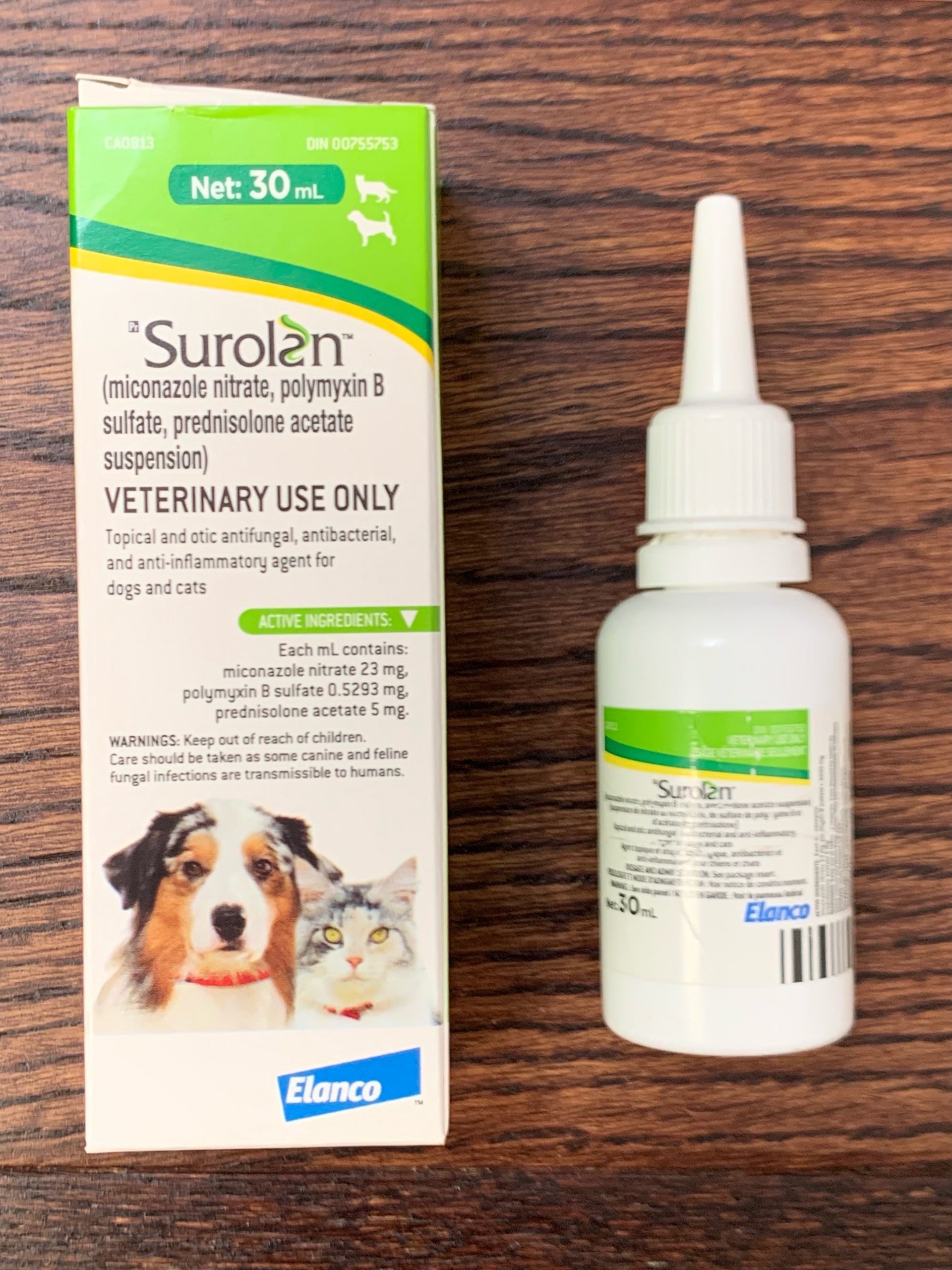 How to Safely Clean Your Dog's Ears at Home? - Furry Aging